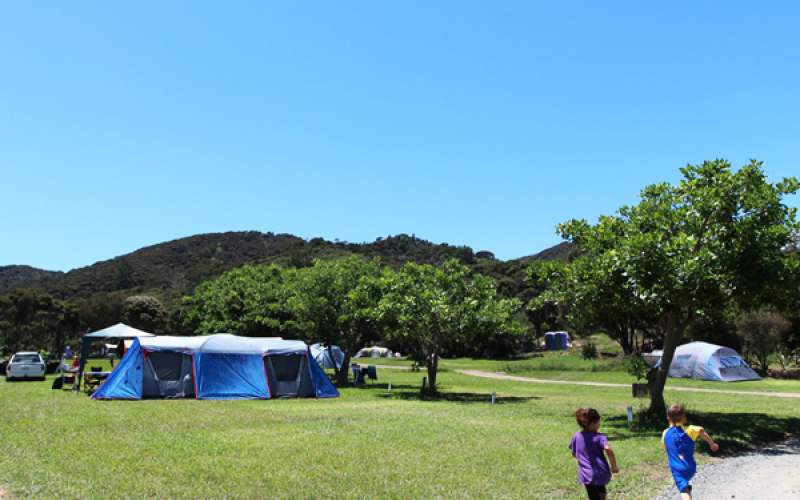 Russell - Orongo Bay Holiday Park | Full Service Camp | New Zealand